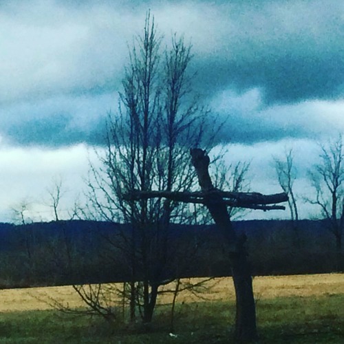 Stream Trappalachia - Mase in 97 - Lil Yachty Remix by Husky Beats ...