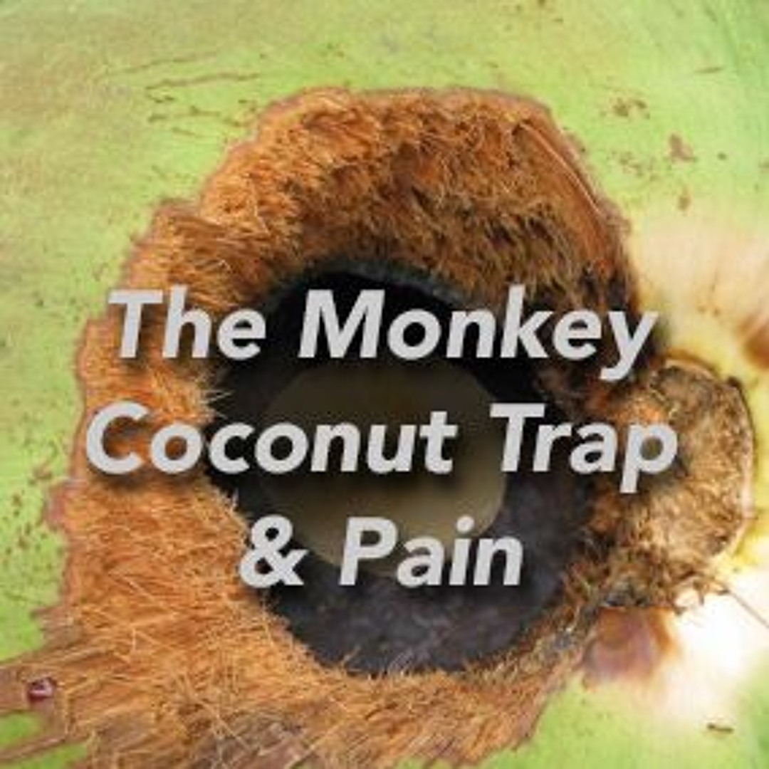 Stream episode The Monkey Coconut Trap and Pain by Possible Mind ...