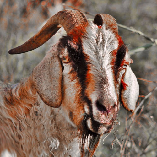 Stream Slipknot - Blister Exists and Sic (Vocal Cover by Carl Pakk) by ...