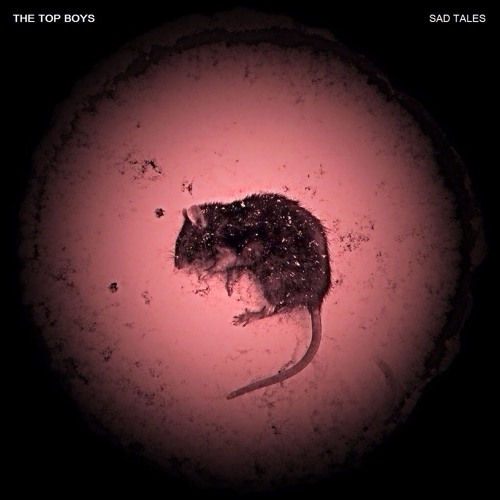 Stream The Rainbow is Dead by The Top Boys | Listen online for free on ...