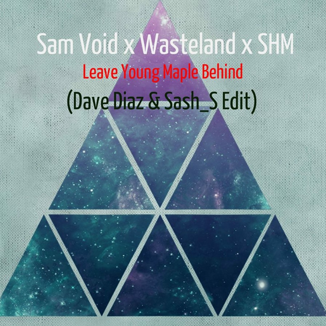 Stream Sam Void X Wasteland X SHM - Leave Young Maple Behind (Dave Diaz ...