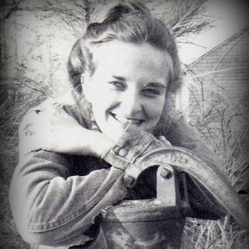 Stream Let My Love Show (© 2015) by Jimmy Fleming | Listen online for ...