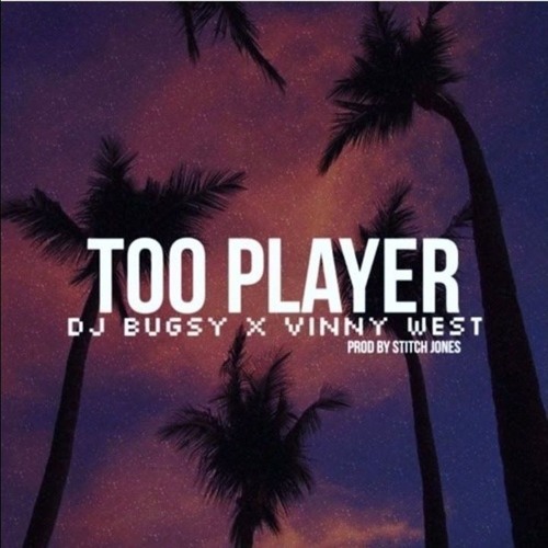 Stream Vinny West - Too Player (Bass Boosted) by 슬퍼 | Listen online for ...