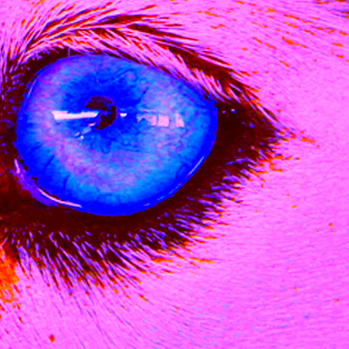 Stream Peter Annand DJ set on a quiet RIOT - 30th July 2016 by RIOT ...