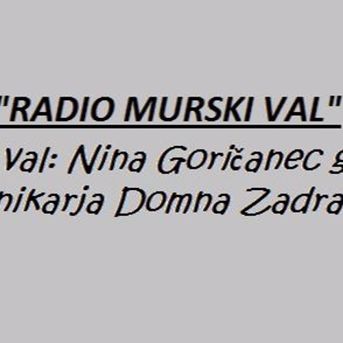 Stream Intervju na radiu MURSKI VAL: Nina Goričanec gosti harmonikarja ...