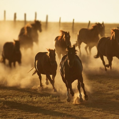 Stream Running To You by Larp Music - Jim Hustwit | Listen online for ...