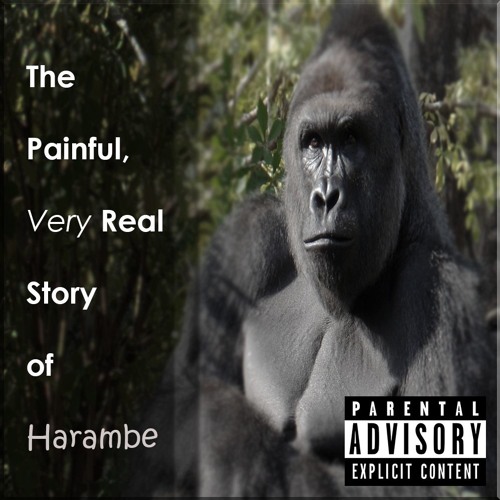 Stream The Painful & Very Real Story Of Harambe by Soundclown | Listen ...