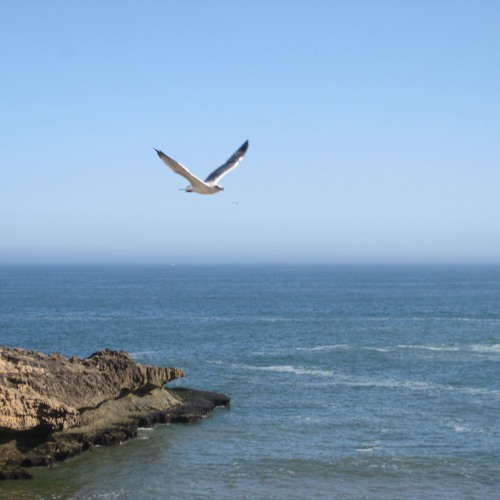 Stream Happy Birthday Dear Duncan! by Cymargroove | Listen online for ...