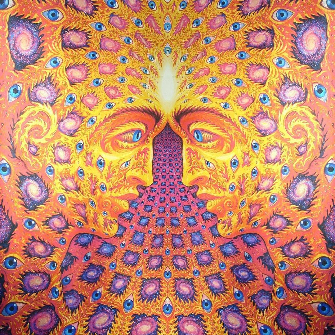 Dmt Entities List
