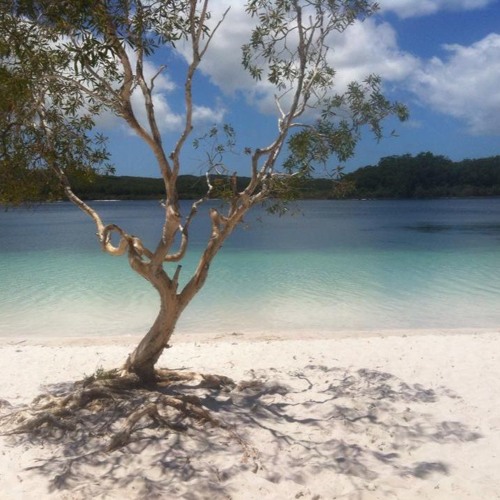 Stream Diamond Mine by Tom Smethurst | Listen online for free on SoundCloud