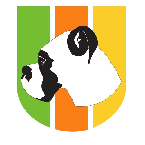 Stream episode Who Is Ottawa? Ep 3 With Jenna Ladd, Owner of Iron North ...