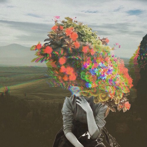 Aaron Terrapin - Free music on ToneDen