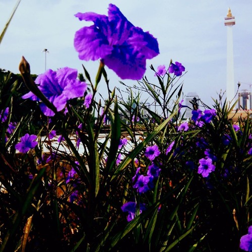 Stream Tei (테이) - From When, Until When (어디부터 어디까지) OST Uncontrollably ...