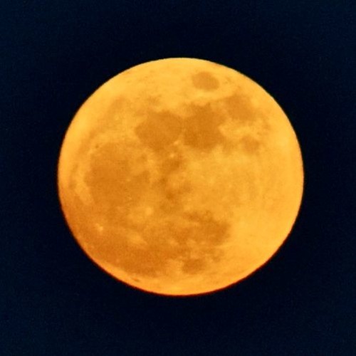 Stream Moon Is A Soul Trap by Vent Ensemble | Listen online for free on ...