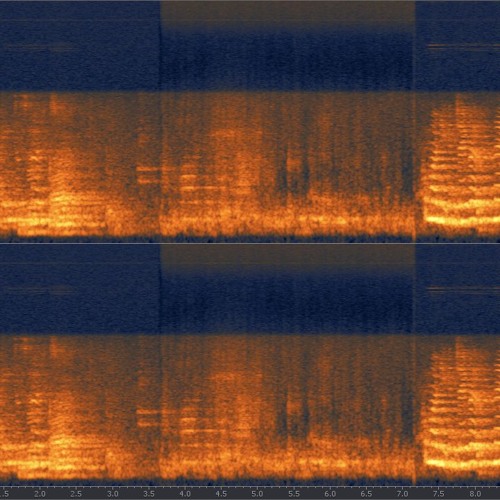 Stream Ryton Masonic Hall - Child EVP Chant? 1st Mayor Callout ...