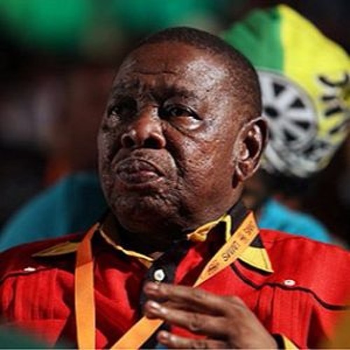 Stream Blade Nzimande on the future of the varsity fees structure by ...