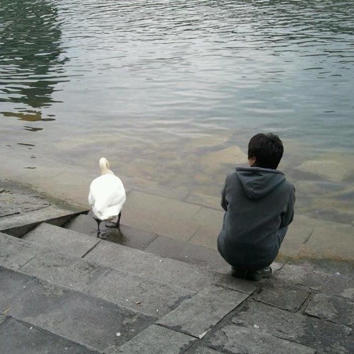 Stream Cinta yang Mendewasakan, Kamu yang Memilih [ Cover : Babun , BGM ...