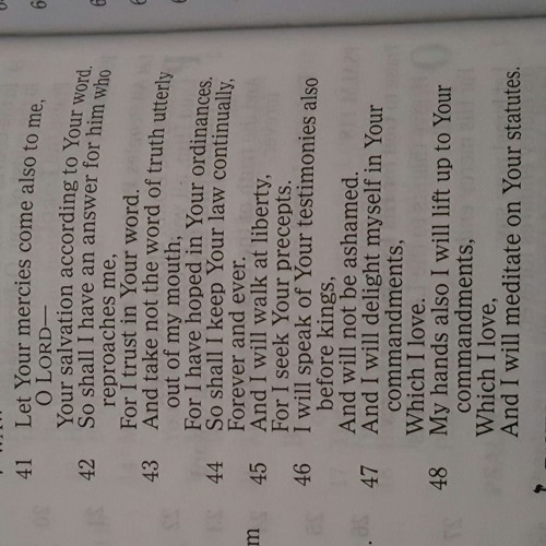 Stream Summer of Psalms (Praying Psalm 119:41-48) by ladyjenn | Listen ...