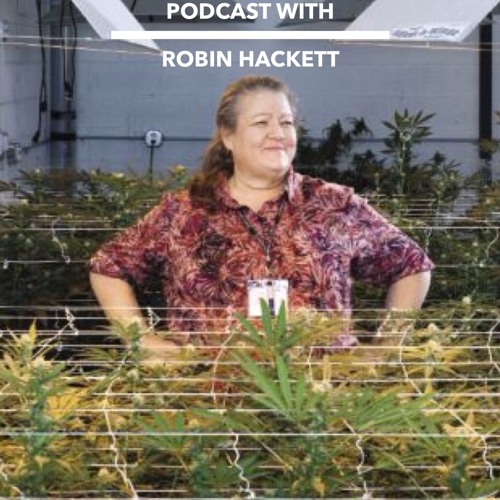 Stream episode Interview with the leading cannabis researcher, Robin ...