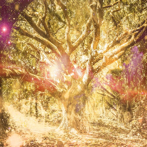 Stream Brainiac | Listen to The 7th Realm playlist online for free on ...