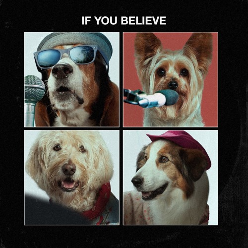 Stream Pup Star - If You Believe by pupstarmovie | Listen online for ...