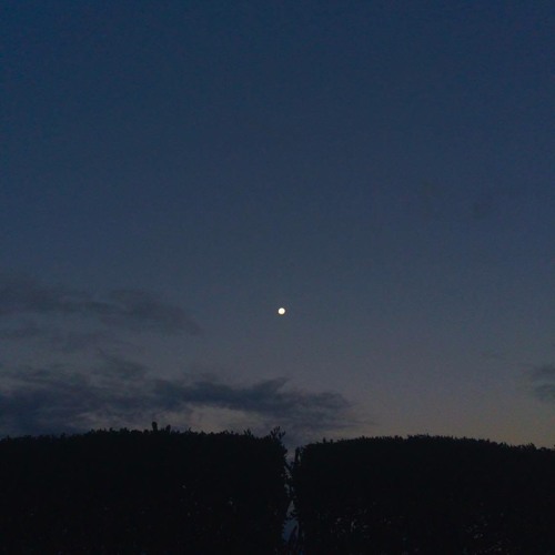 Stream Something More by Jack Annear | Listen online for free on SoundCloud