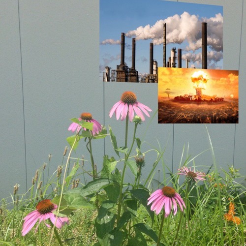 Stream death is apparent. by HUMAN? | Listen online for free on SoundCloud