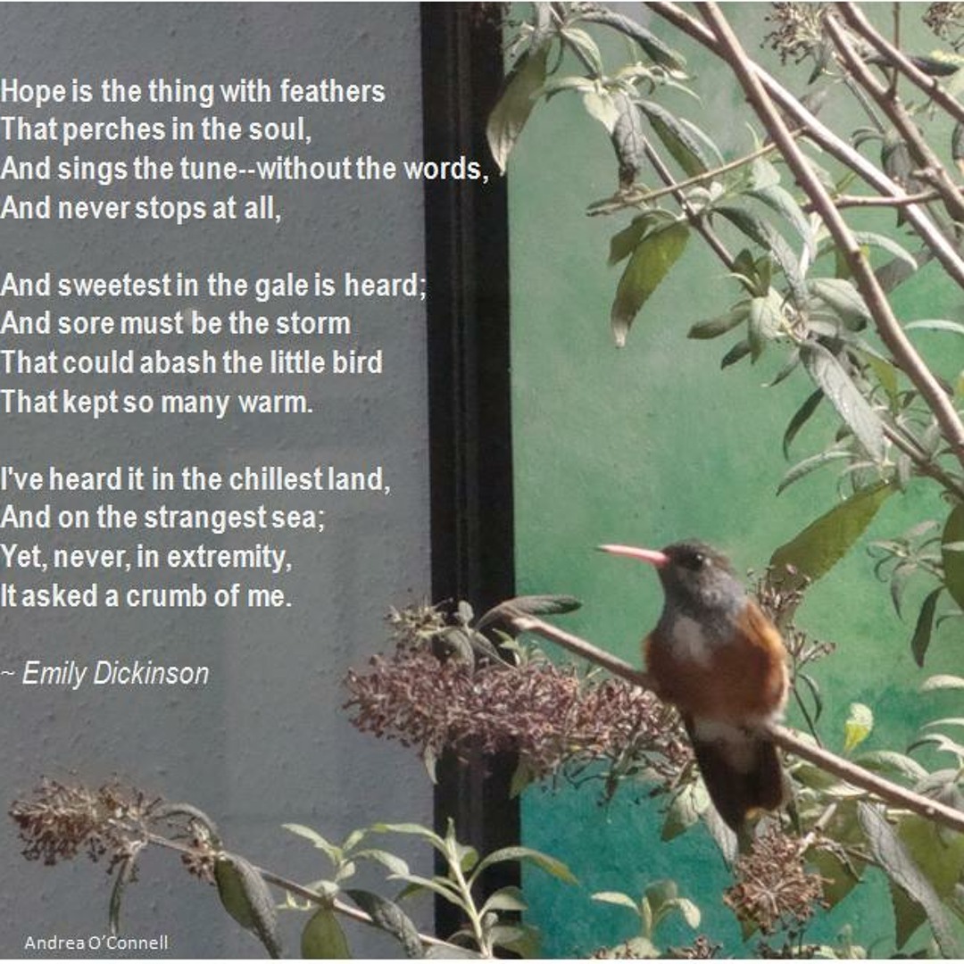 Stream Hope is the thing with feathers by Emily Dickinson by Space to ...