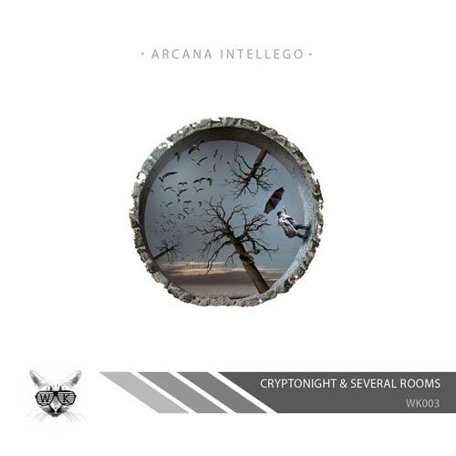 Stream Cryptonight & Several Rooms - Arcana Intellego EP [White Kat] by ...