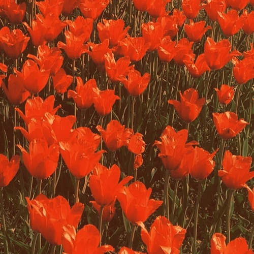 Stream Surface by Caleb Byers | Listen online for free on SoundCloud