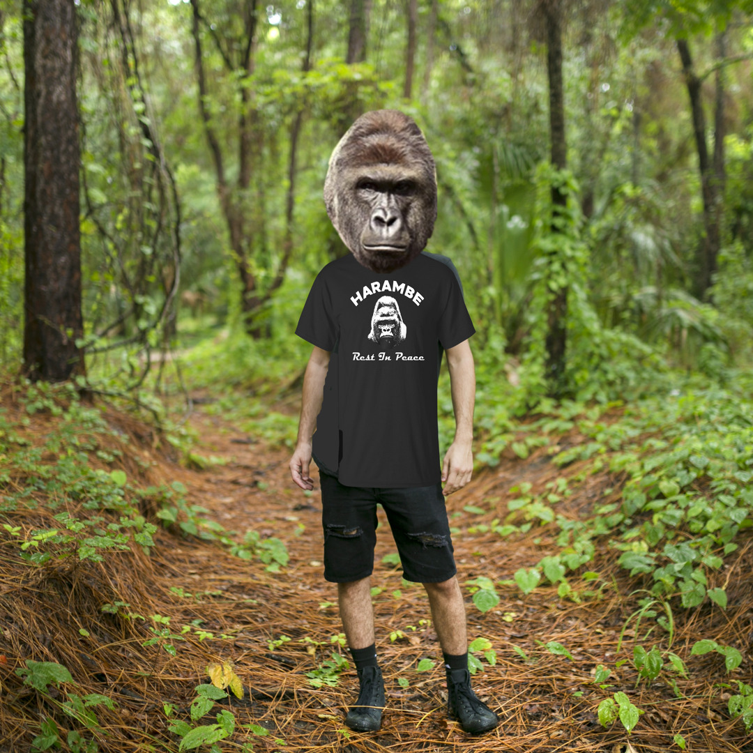 Listen to Dicks Out For Harambe by Hi-Rez in rap playlist online for ...