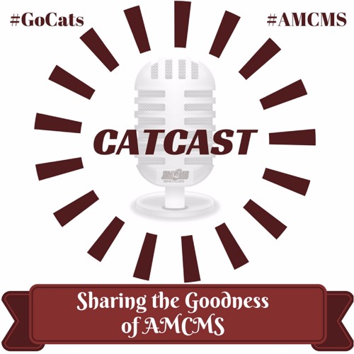 Stream AMCMS | Listen to AMCMS CatCast playlist online for free on ...