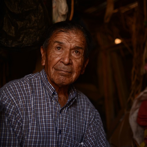 Stream MUCAM (MUSEO CAMPESINO EN MOVIMIENTO) | Listen to Pedro Tapia ...