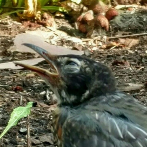 Stream I spent entirely too much time on this track...not done yet by ...