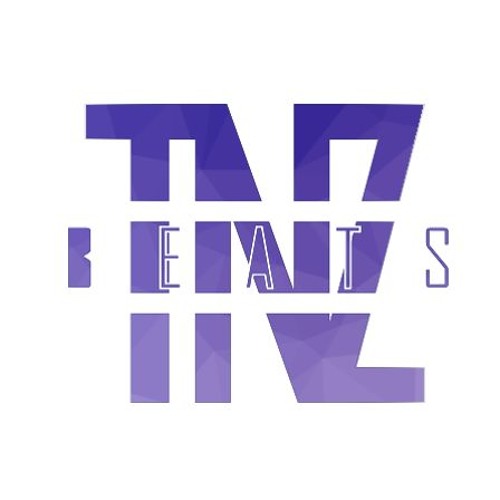 Stream TNZ Beats - Everything We've Got by TNZ Beats | Listen online ...