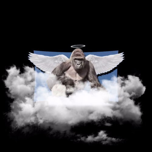 Stream Harambe's revenge [jeffrey rmx] by Ghost McGrady | Listen online ...