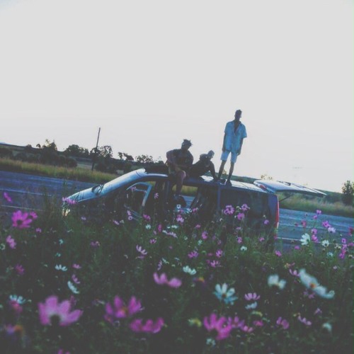 Stream WTF - Ngwenya Town by WITNESS THE FUNK | Listen online for free ...