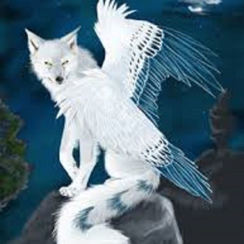 Stream Ponyville, Aka (Margaritaville By Jimmy Buffett) by Timberwolf ...