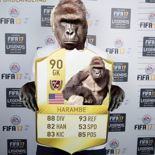 Stream R.I.P. HARAMBE (PROD. CHARLES GLOBE) by Shaan Don | Listen ...