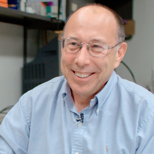 Stream episode The Power of Genetics with Neurobiologist Robin Cooper ...