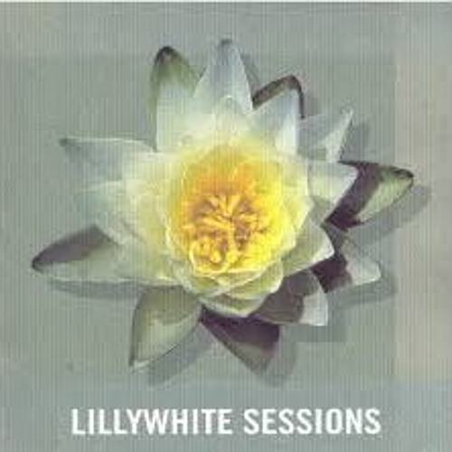Stream Parabuilding | Listen to Dave Matthews Band The Lillywhite ...
