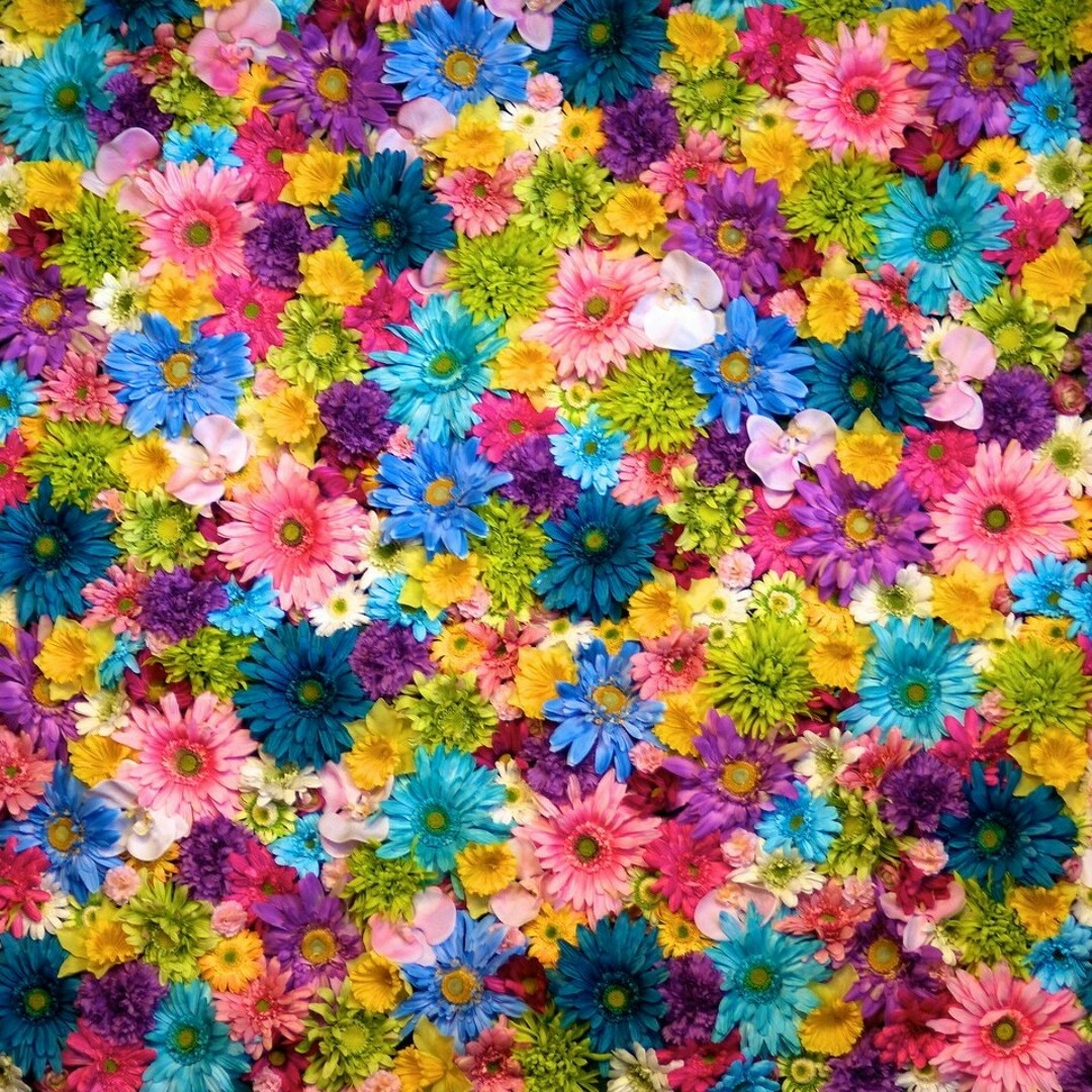 Stream الشيخ/علي جابر - سورة البقرة ? by Youssef Hamada | Listen online ...