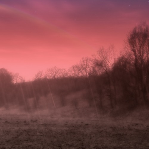 Stream Present Tense (Radiohead Cover) by Kyle Thayer | Listen online ...