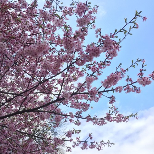 Stream KW | Listen to Angelo Nardone playlist online for free on SoundCloud