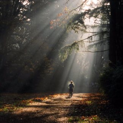 Stream Ruth B. - Lost Boy (DVFF Bootleg Remix) by DVFF | Listen online ...