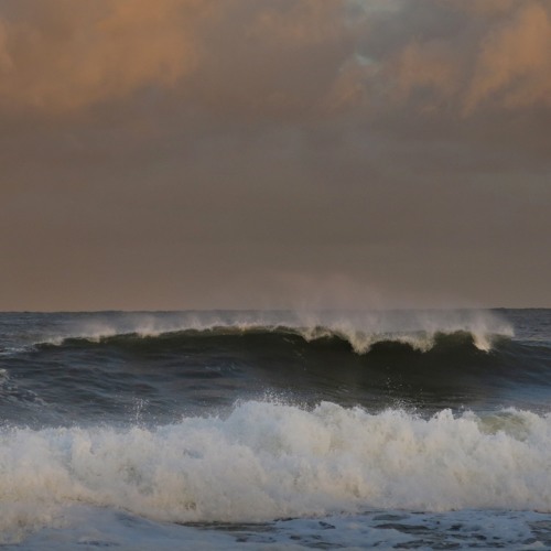 Stream Wavedancer & Dance of The Elusive Puffin Set by Andy Craig Songs ...
