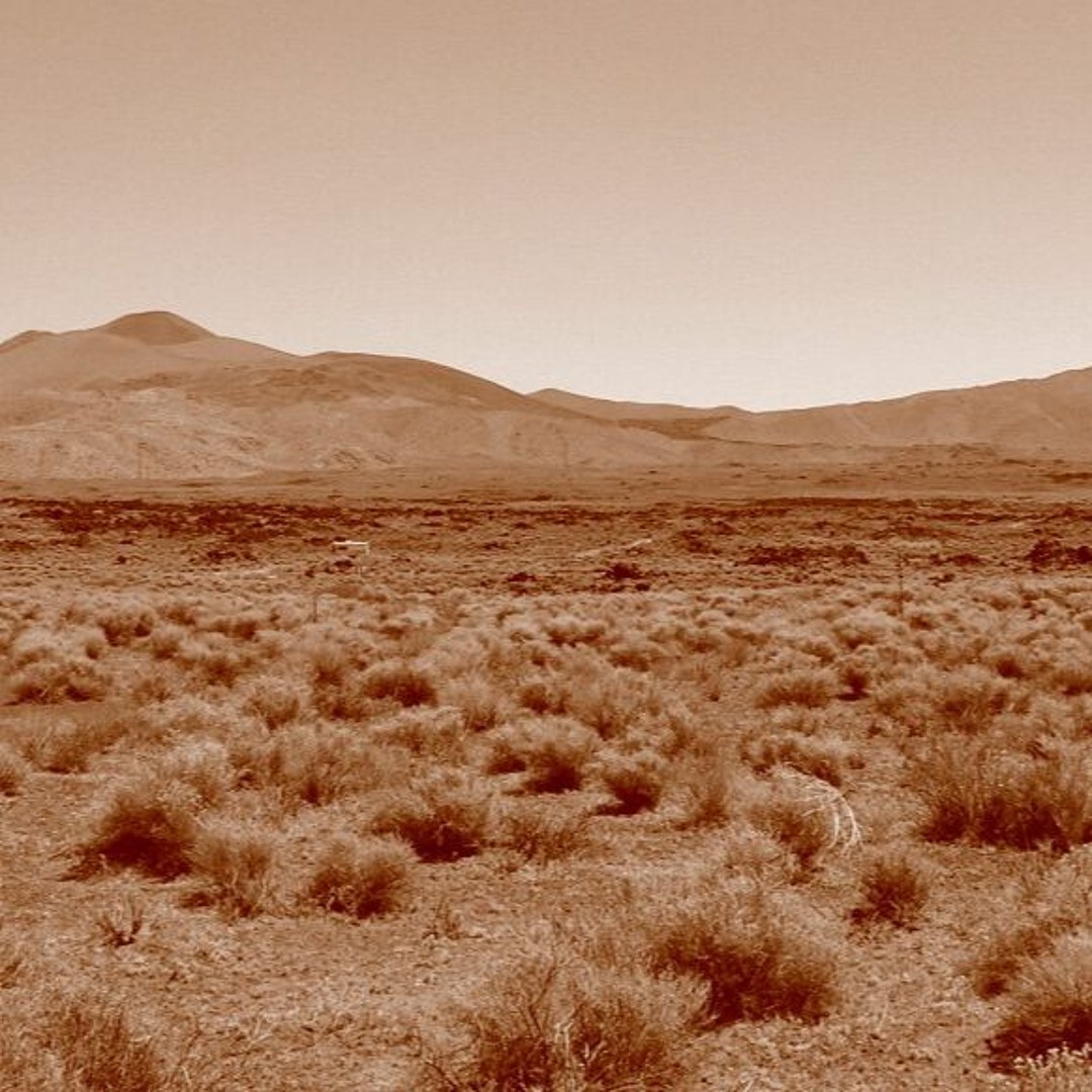 Stream The Desert Show Ep 1 by The Desert Show | Listen online for free ...