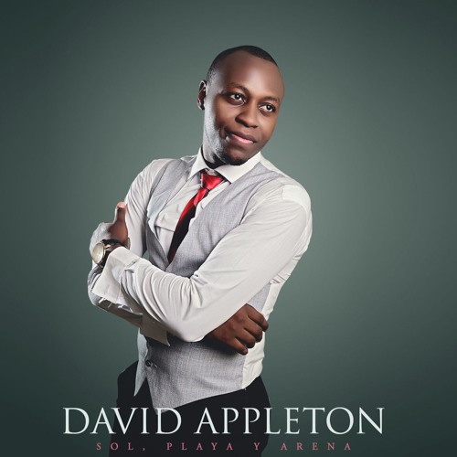 Stream Sol, Playa Y Arena (REMIX) by David Appleton | Listen online for ...