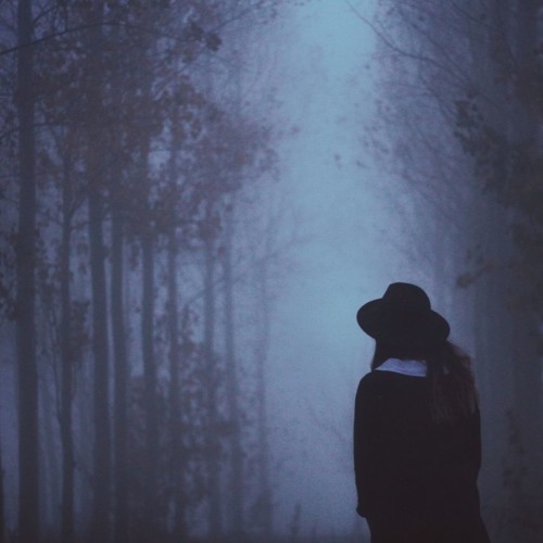 Listen to playlists featuring Poyo Spirit & Cat666 - Vanish by Poyo ...
