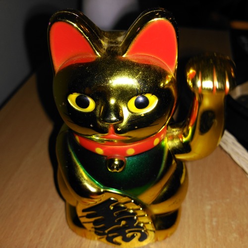 Stream El gat vol un ordinador...El gato quiere un ordenador..The cat ...